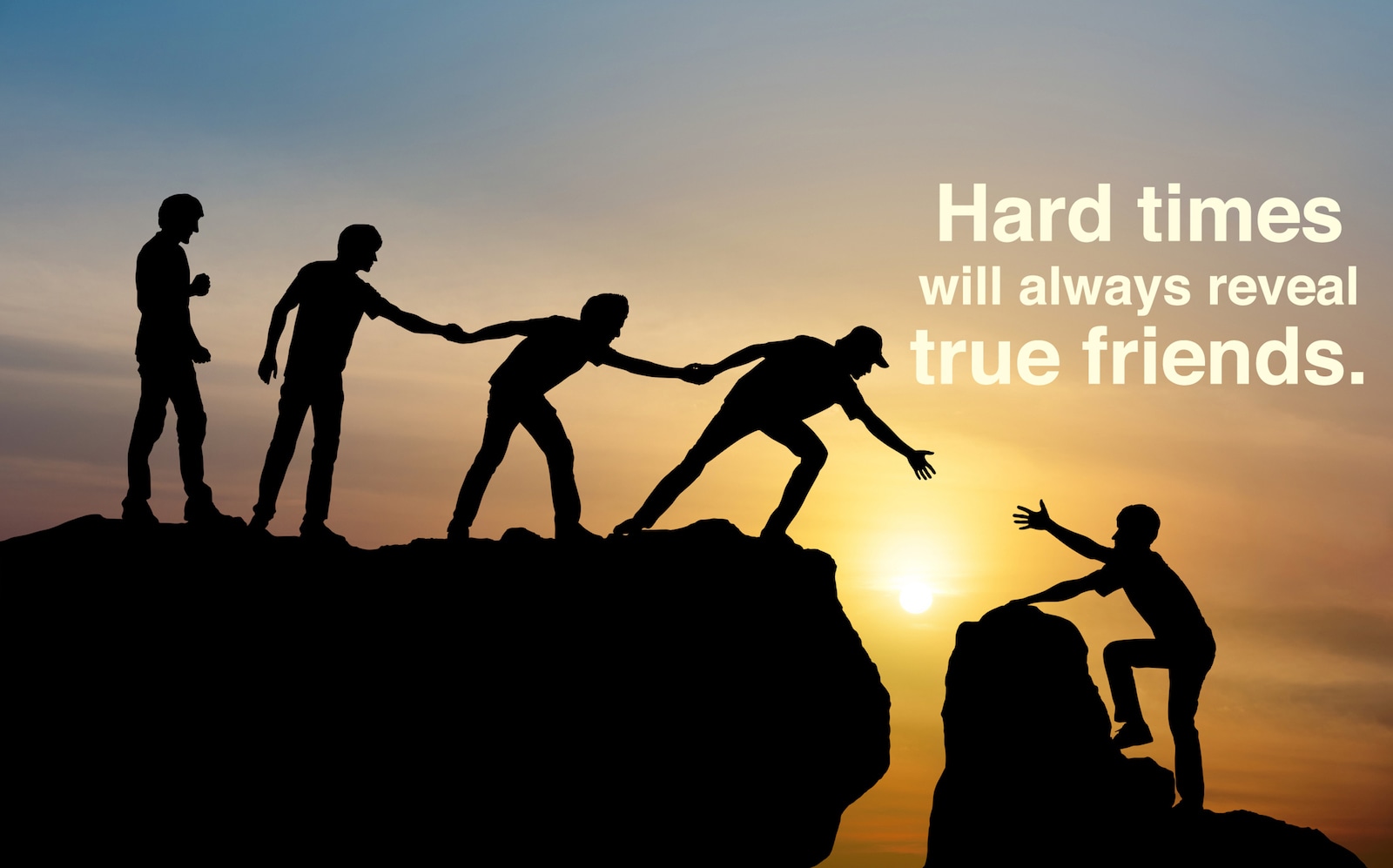 You've got a friend in me! - AnyTask.com