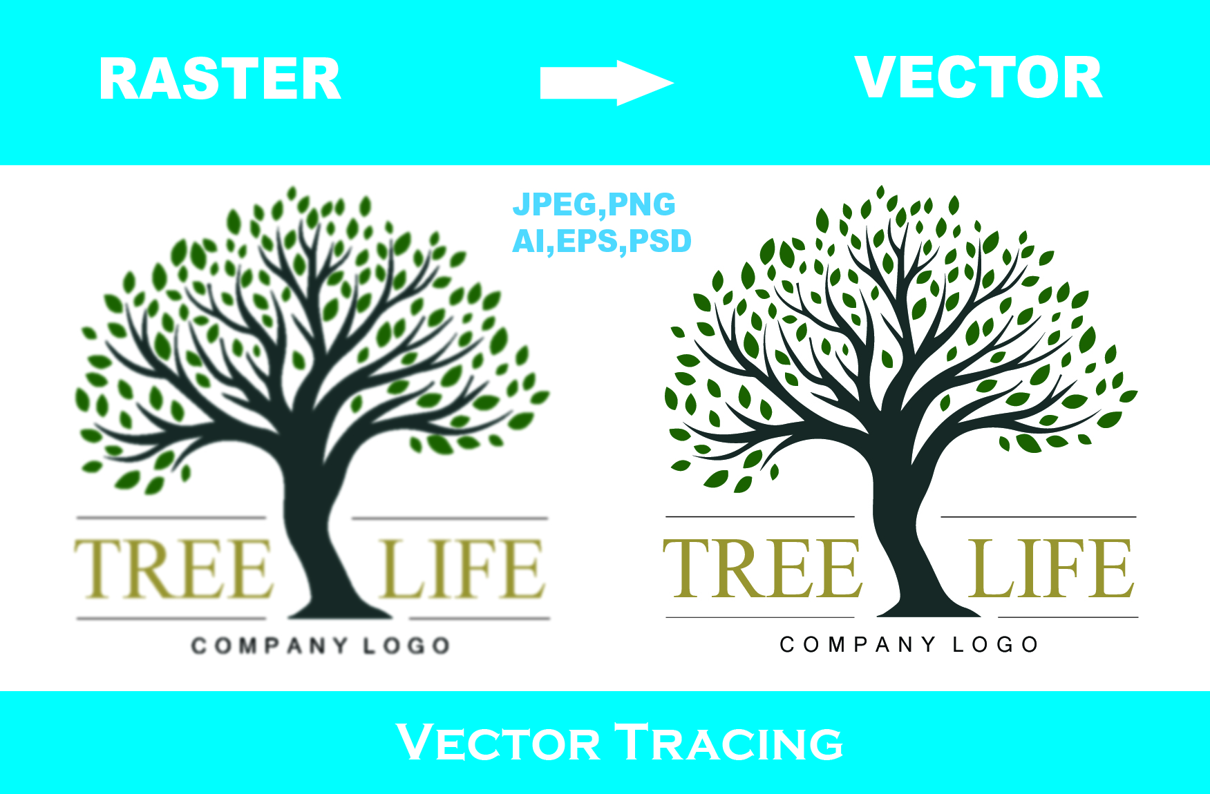 I can do vector tracing logo or image in adobe illustrator - AnyTask.com