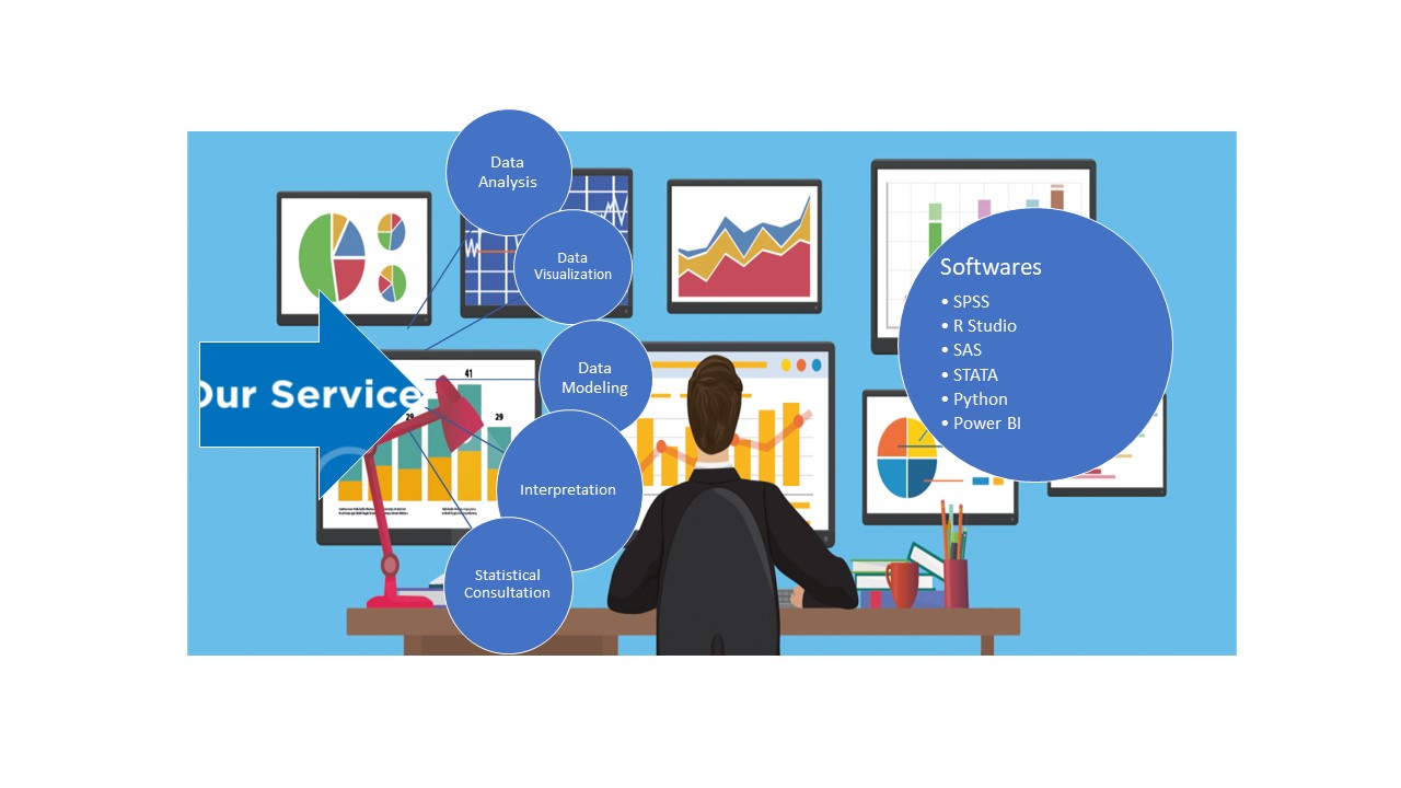 Data Analysis And Modeling Using Spss R Sas And Excel