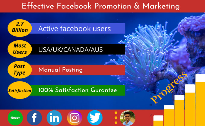 I will growth business by effective facebook promotion - AnyTask.com