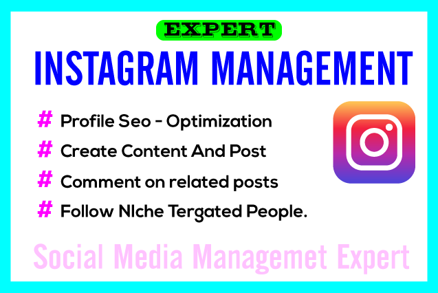 Instagram Management Organically - AnyTask.com