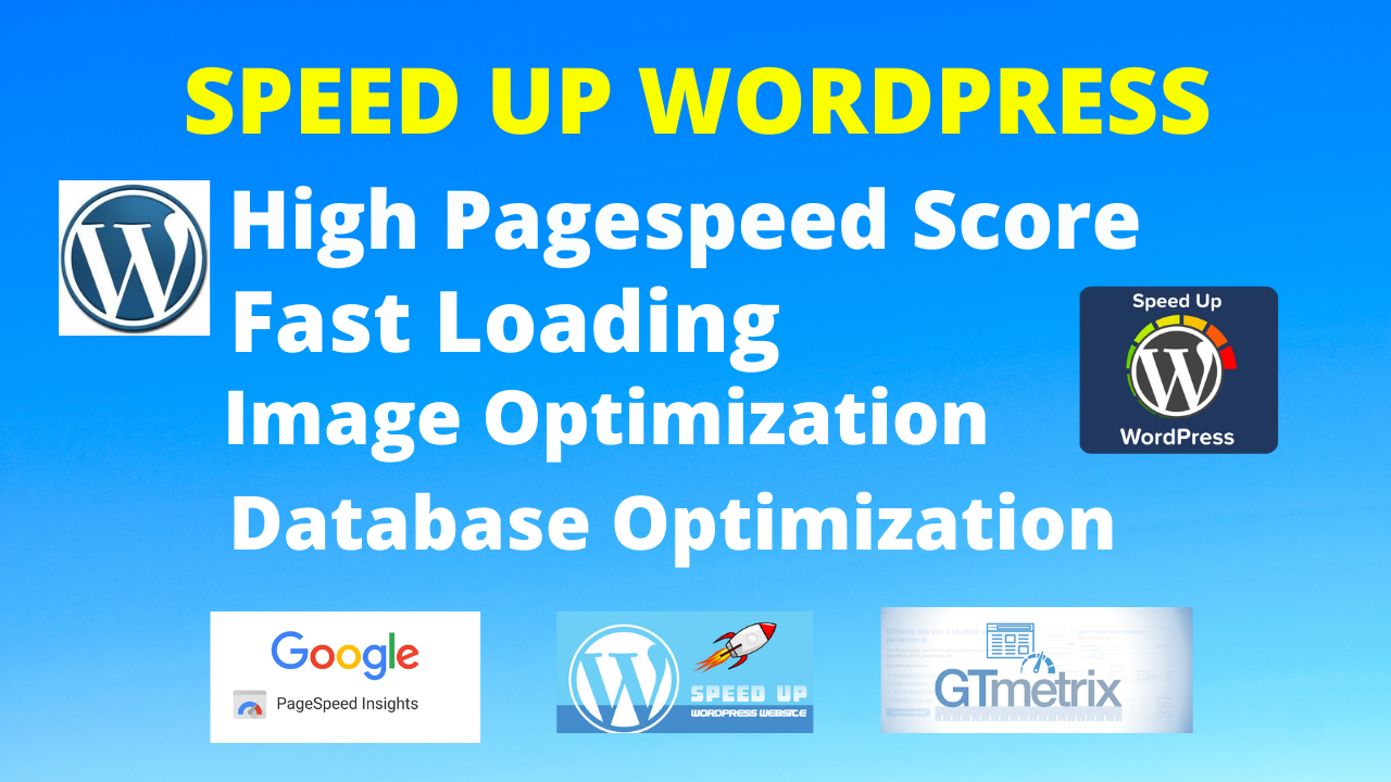 I will speed up your wordpress website with gtmetrix, google pagespeed insight - AnyTask.com