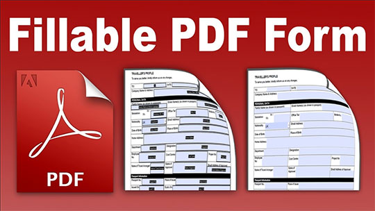 Interactive Fillable PDF Form - AnyTask.com