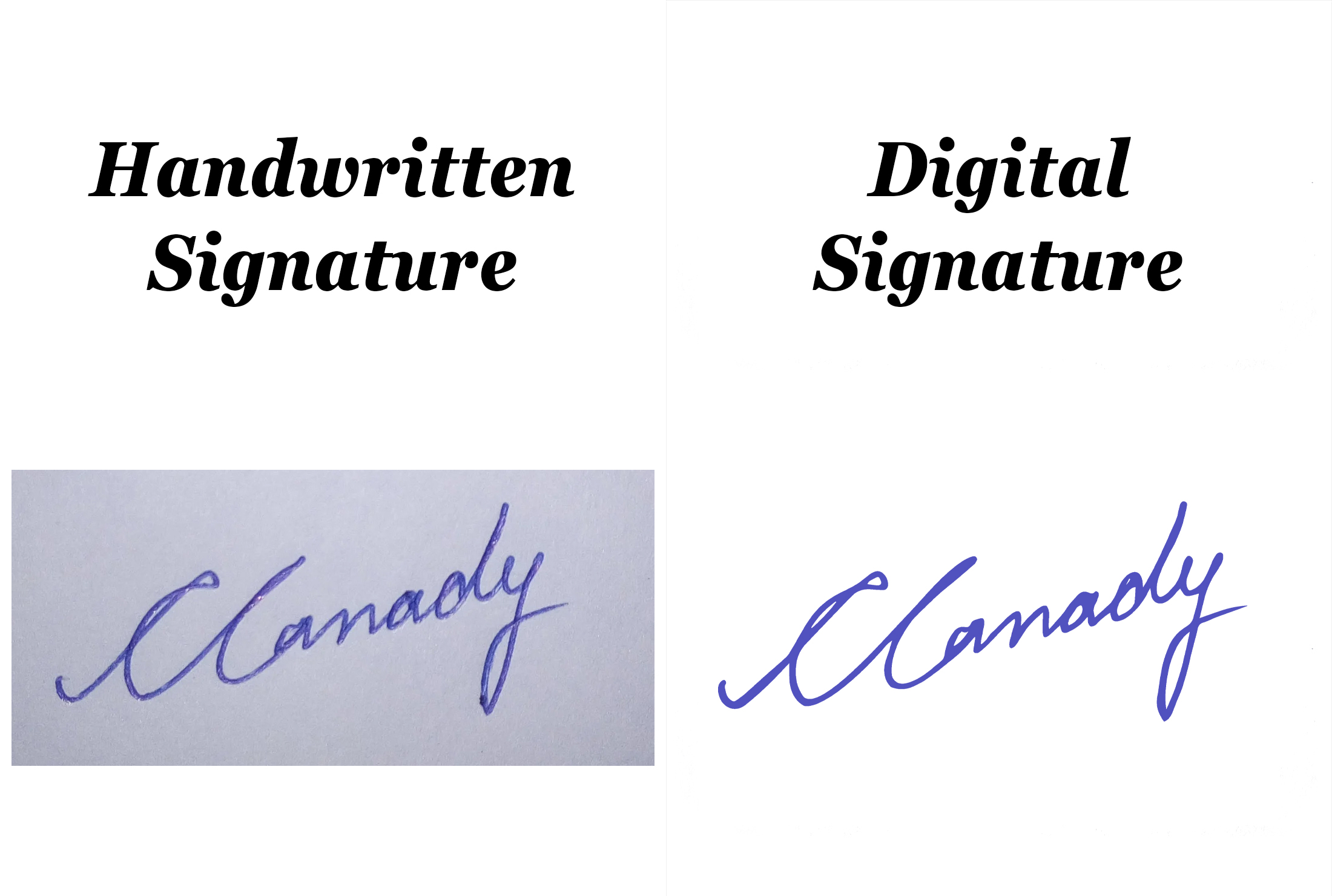 I Will Convert Your Handwritten Signature To A Digital Signature ...