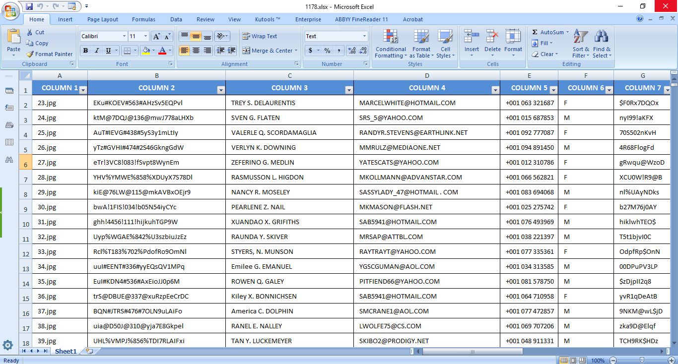 I will do data entry work and provide online form filling service ...