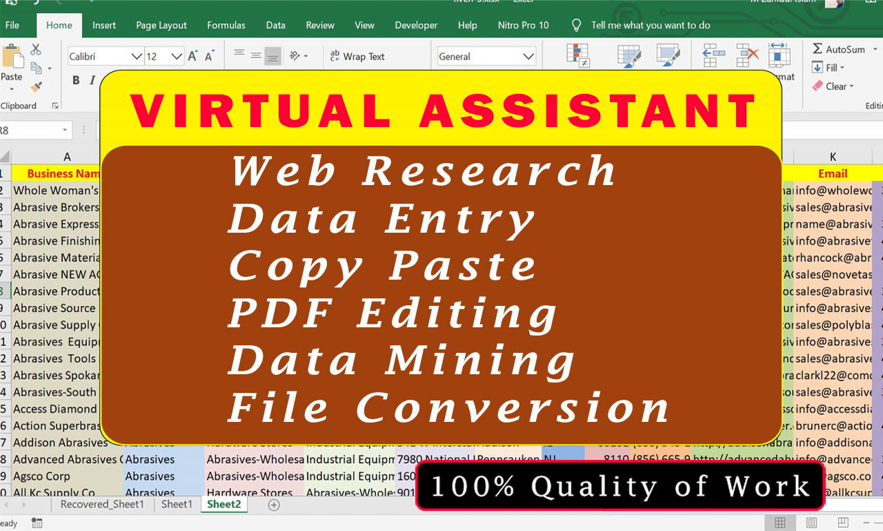 I will be your virtual assistant for data entry, data mining, copy paste & web research ...